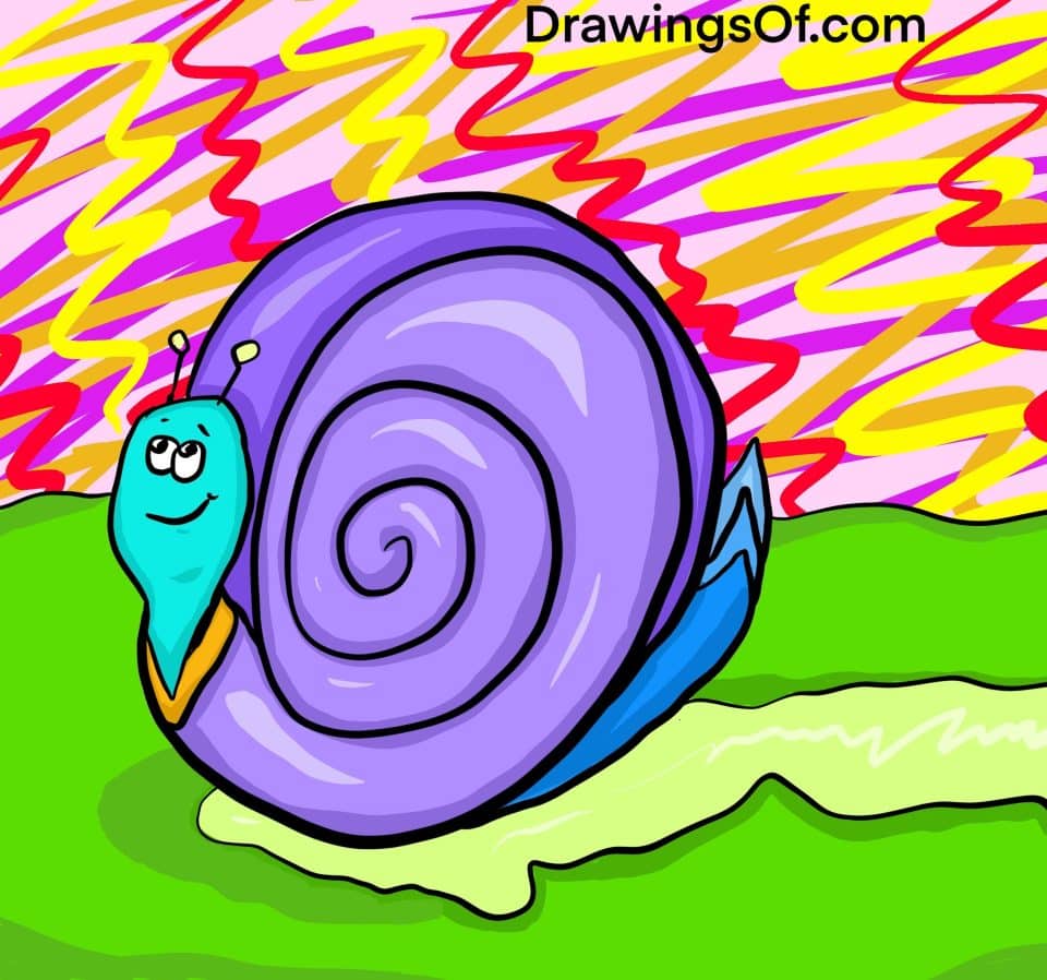 Cute Snail Drawing: Easy Cartoon Art - Drawings Of...