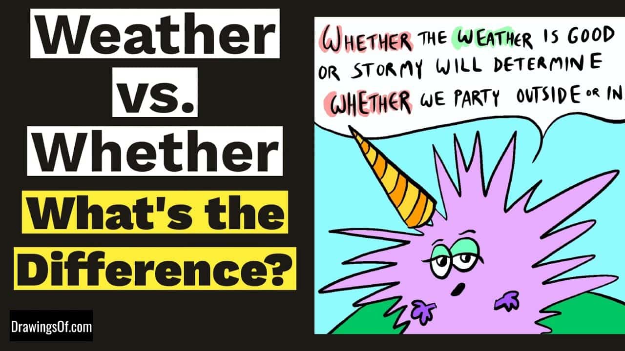 Weather Vs Whether What Is The Difference With 2023 24 Severe Weather