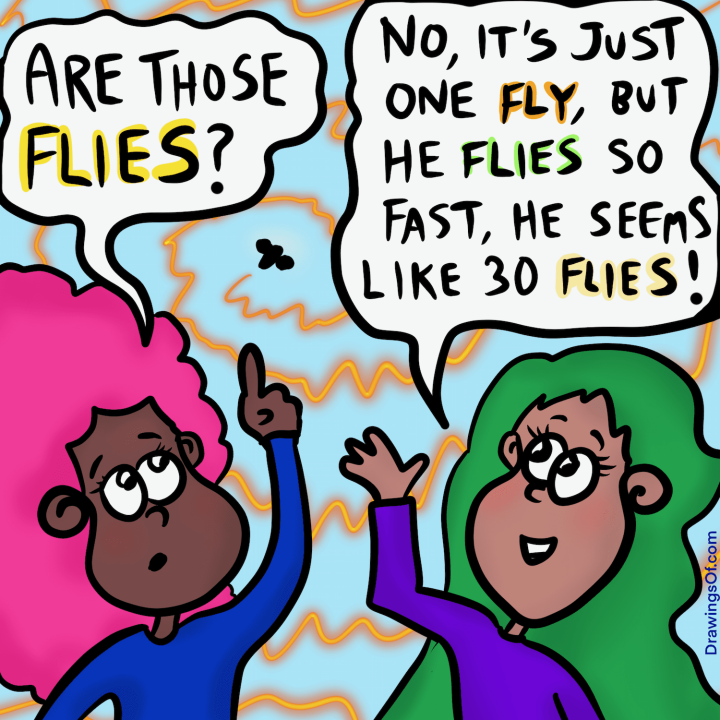 Flies or Flys: Which is the Correct Spelling? - Drawings Of...